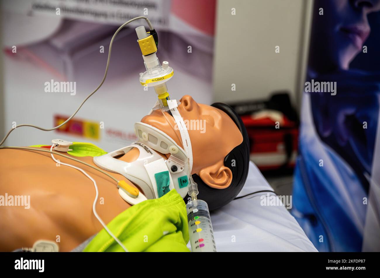 A Biomedical Simulation on plastic human body showing uses of Inner ...