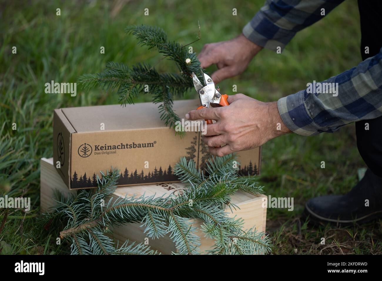 10 November 2022, Lower Saxony, Osnabrück: Inventor Nico Stisser cuts ...