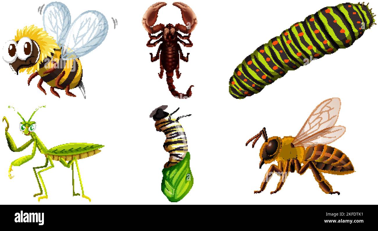 Set of different kinds of insects illustration Stock Vector Image & Art ...