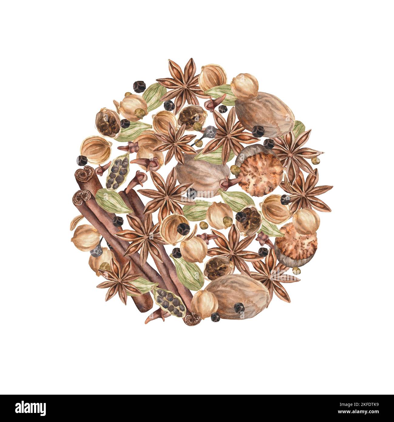 Spices. Watercolor. Set. Illustration for clipart. Designed for menus ...