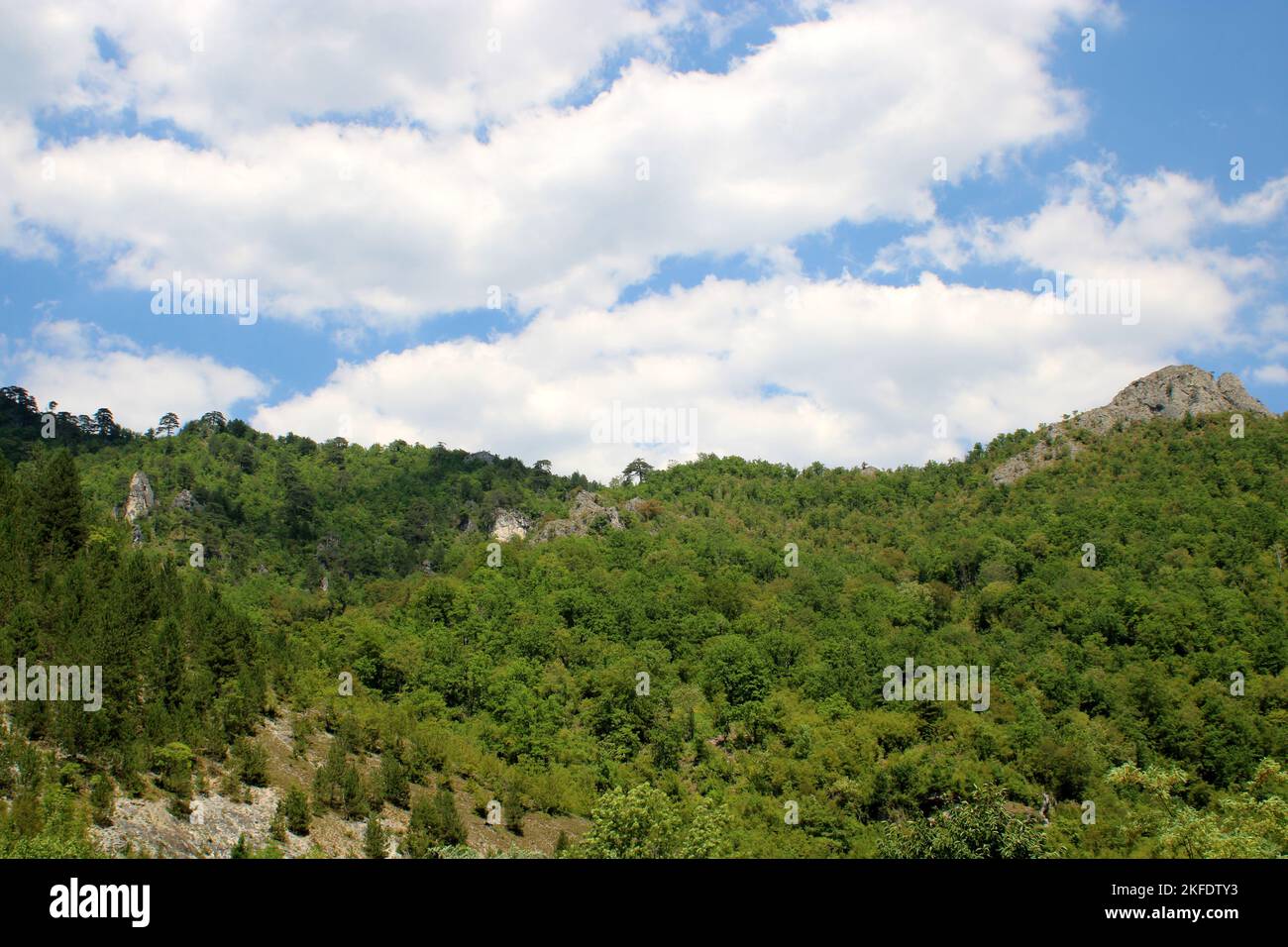 A landscape of vegetation mountains with rocky top under blue cloudy ...