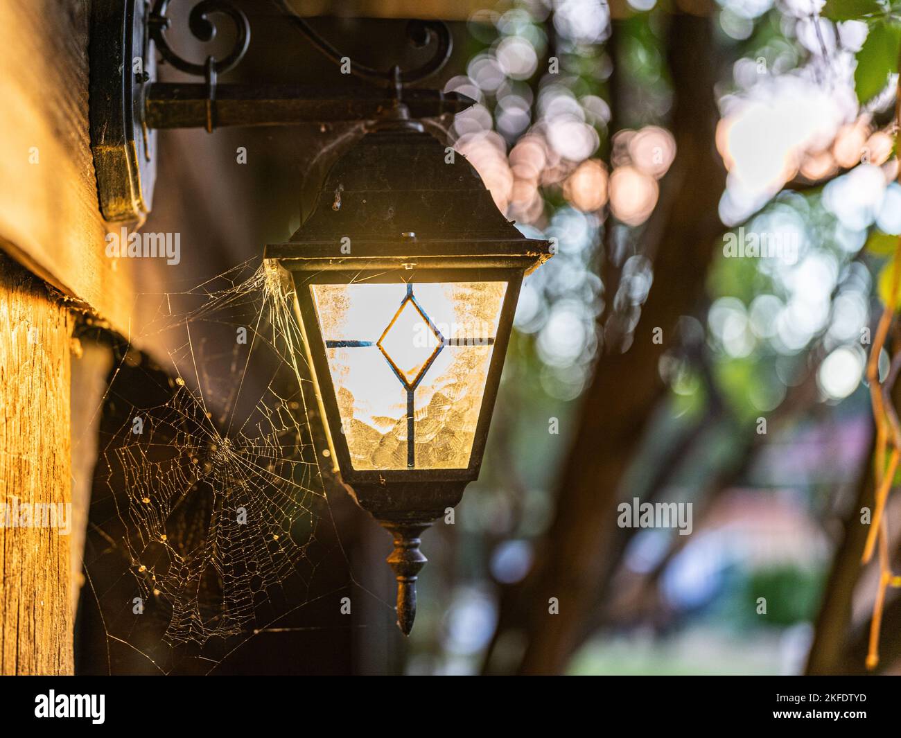 An illuminated park lamp with green leaves in the garden at sunset ...