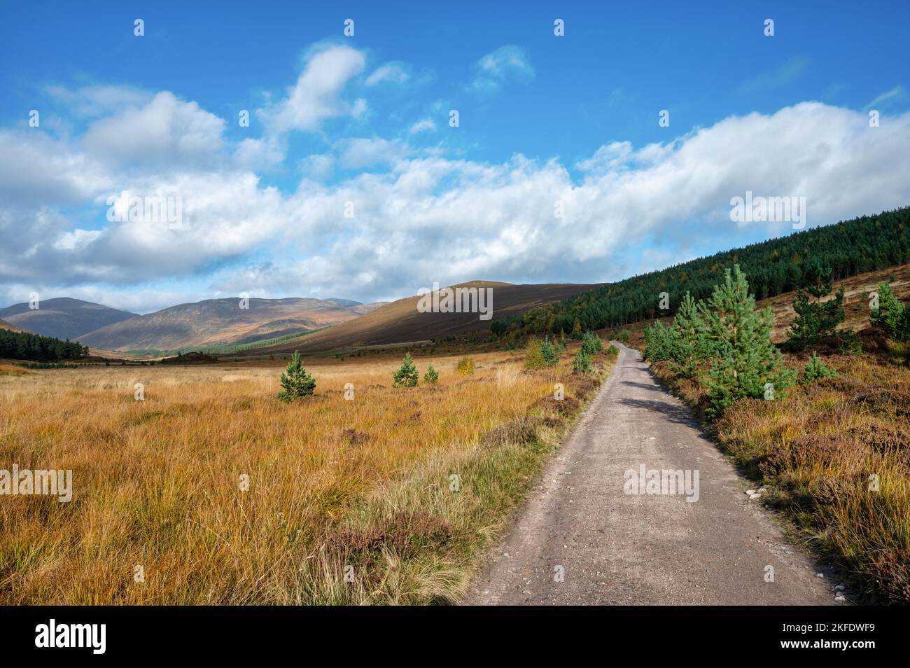 Scottish valley hi-res stock photography and images - Alamy