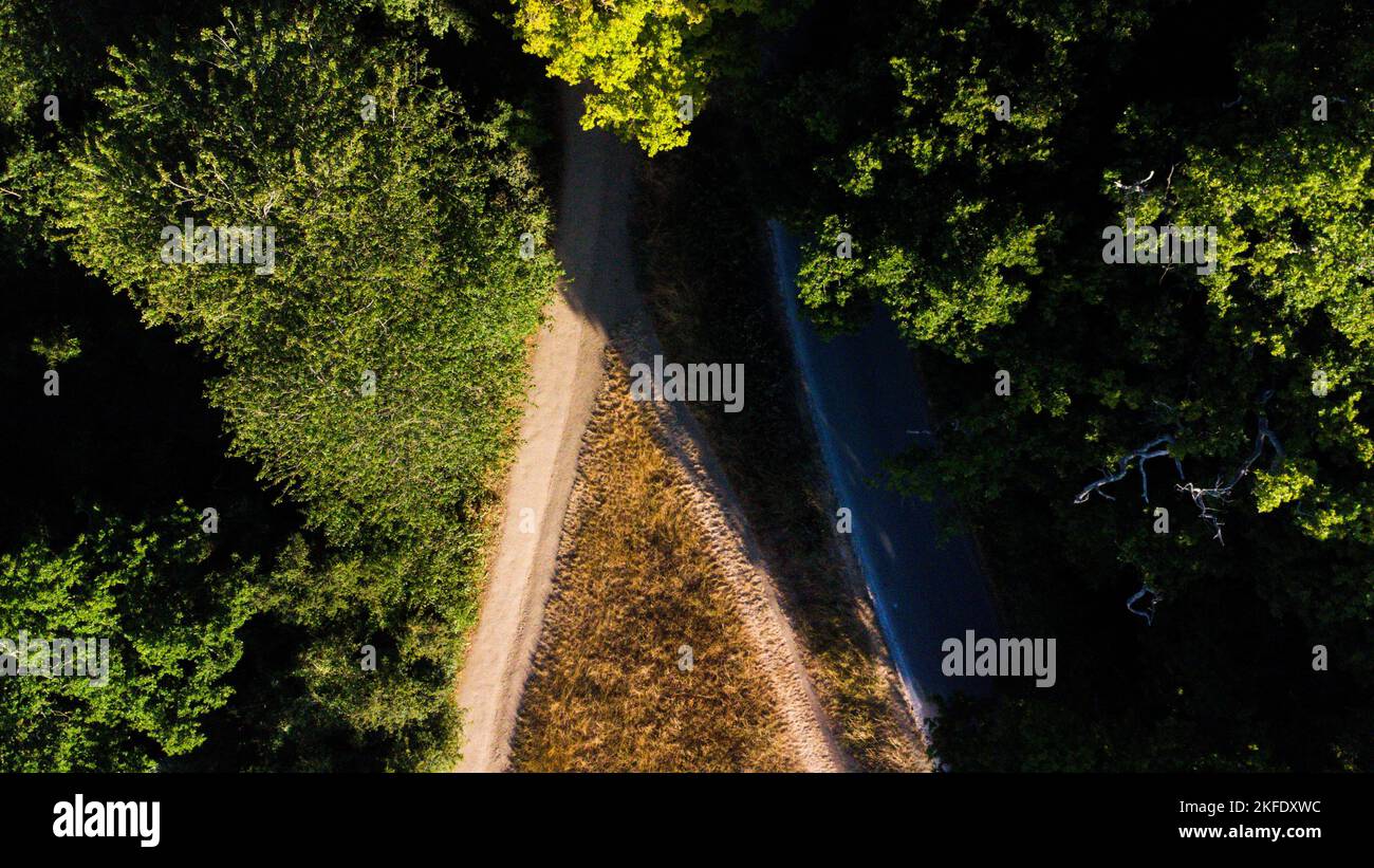 An aerial of two trails intersection in the middle of the woods of Box ...