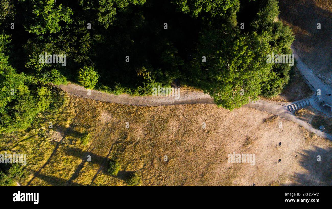 An aerial of the sunlight directly on the field and trees of Box Hill ...