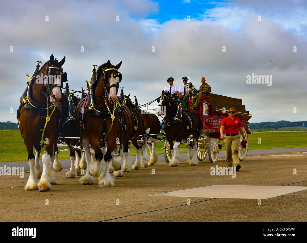 The famous eight-horse hitch rides along the flight line at McGhee ...
