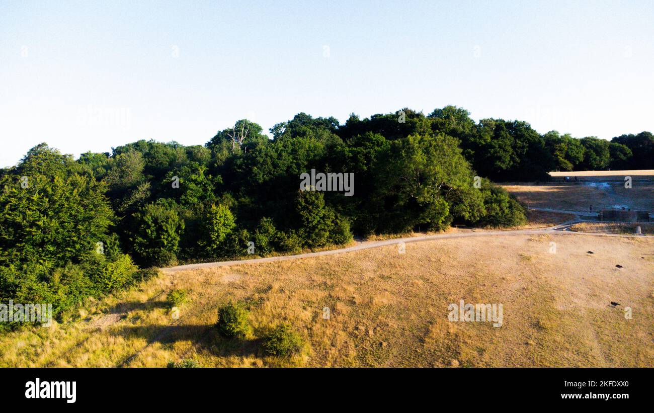 An aerial of the sunlight directly on the field and trees of Box Hill ...