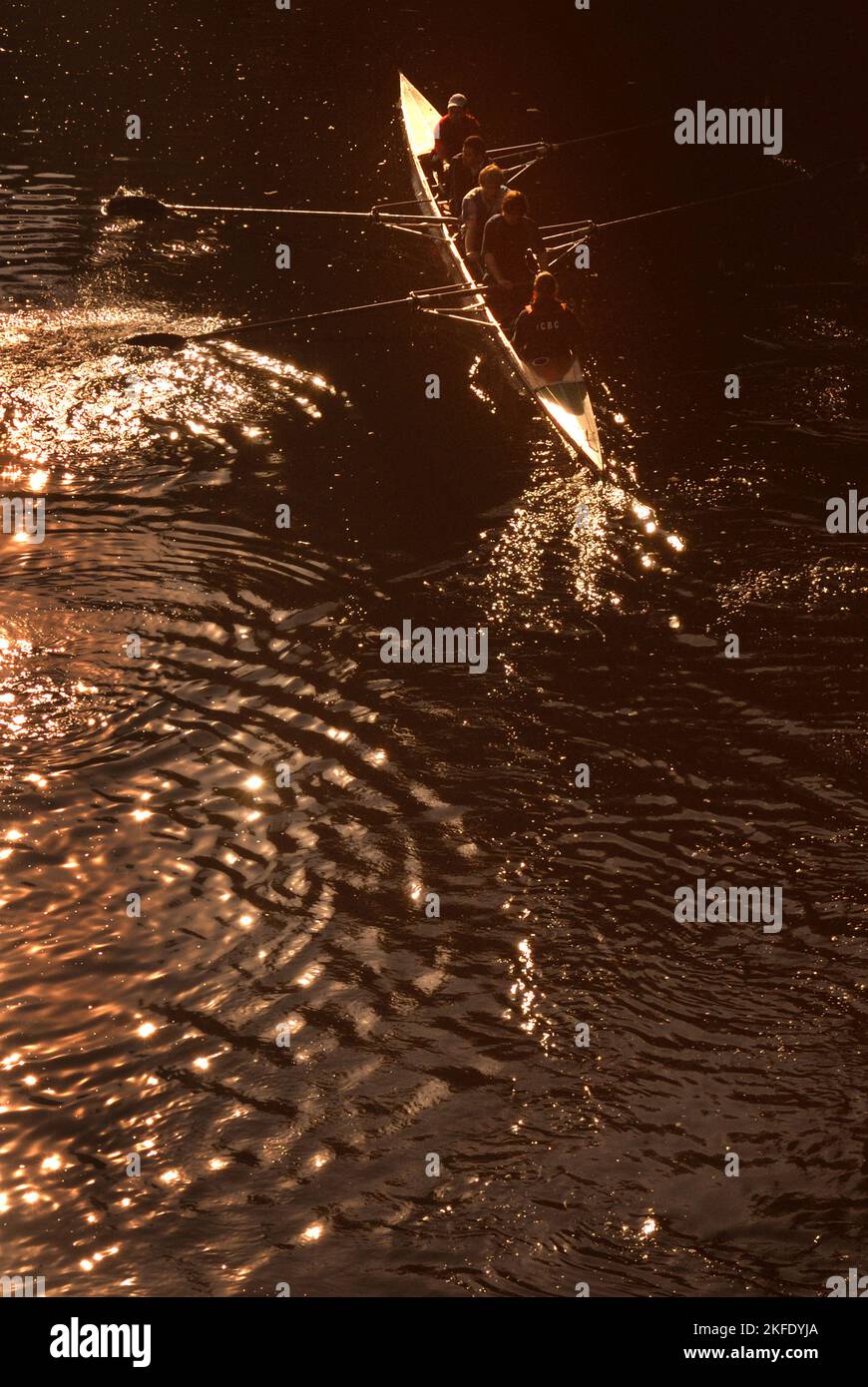 Rowers on the River Wear from Elvet bridge, Durham, United Kingdom ...