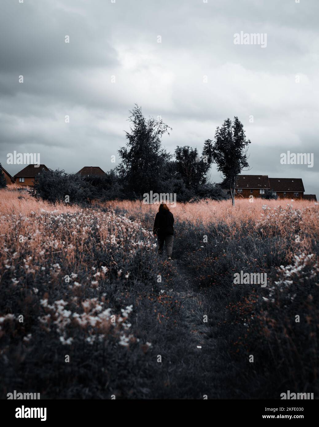 A scenery of a lonely woman walking in a field covered in beautiful ...