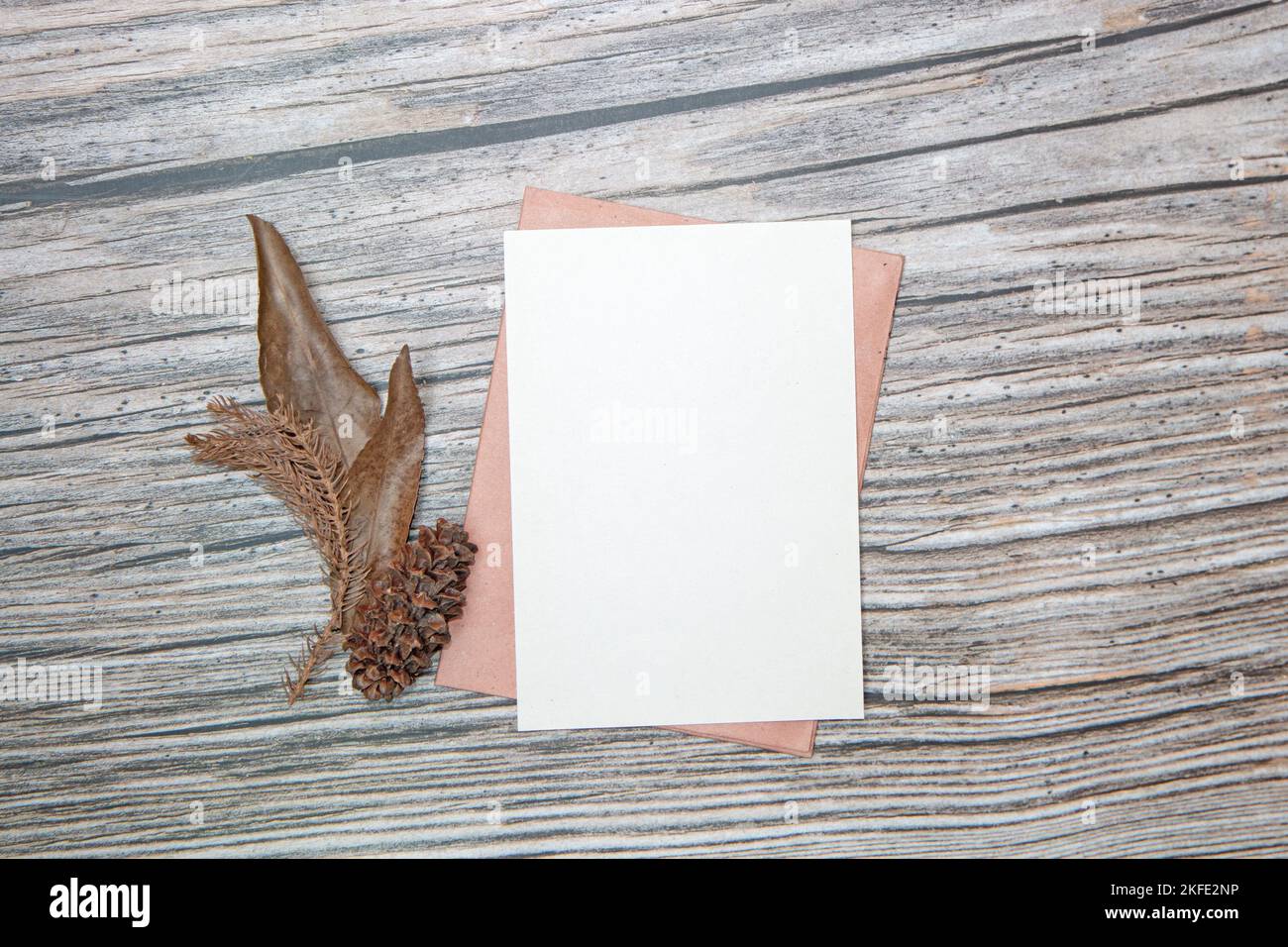 A top view of a blank sheet of paper with copy space and dried leaves ...