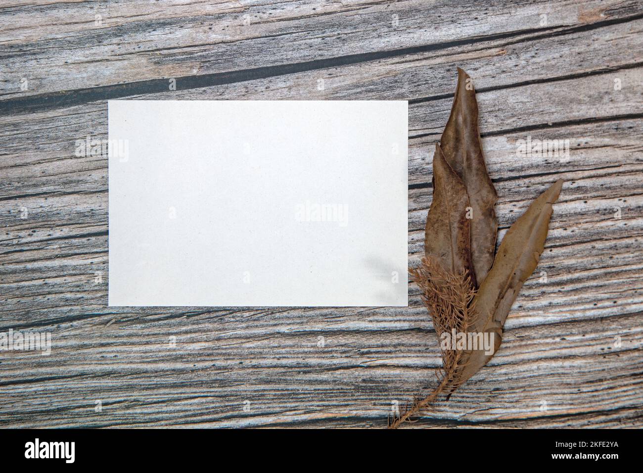 A top view of a blank sheet of paper with copy space and dried leaves ...