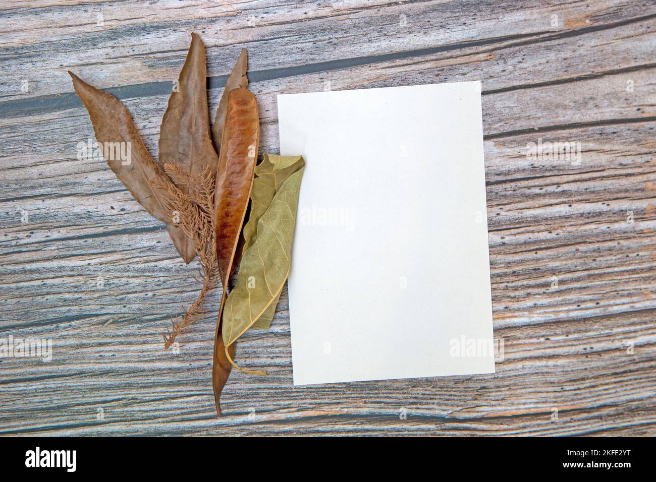 A top view of a blank sheet of paper with copy space and dried leaves ...