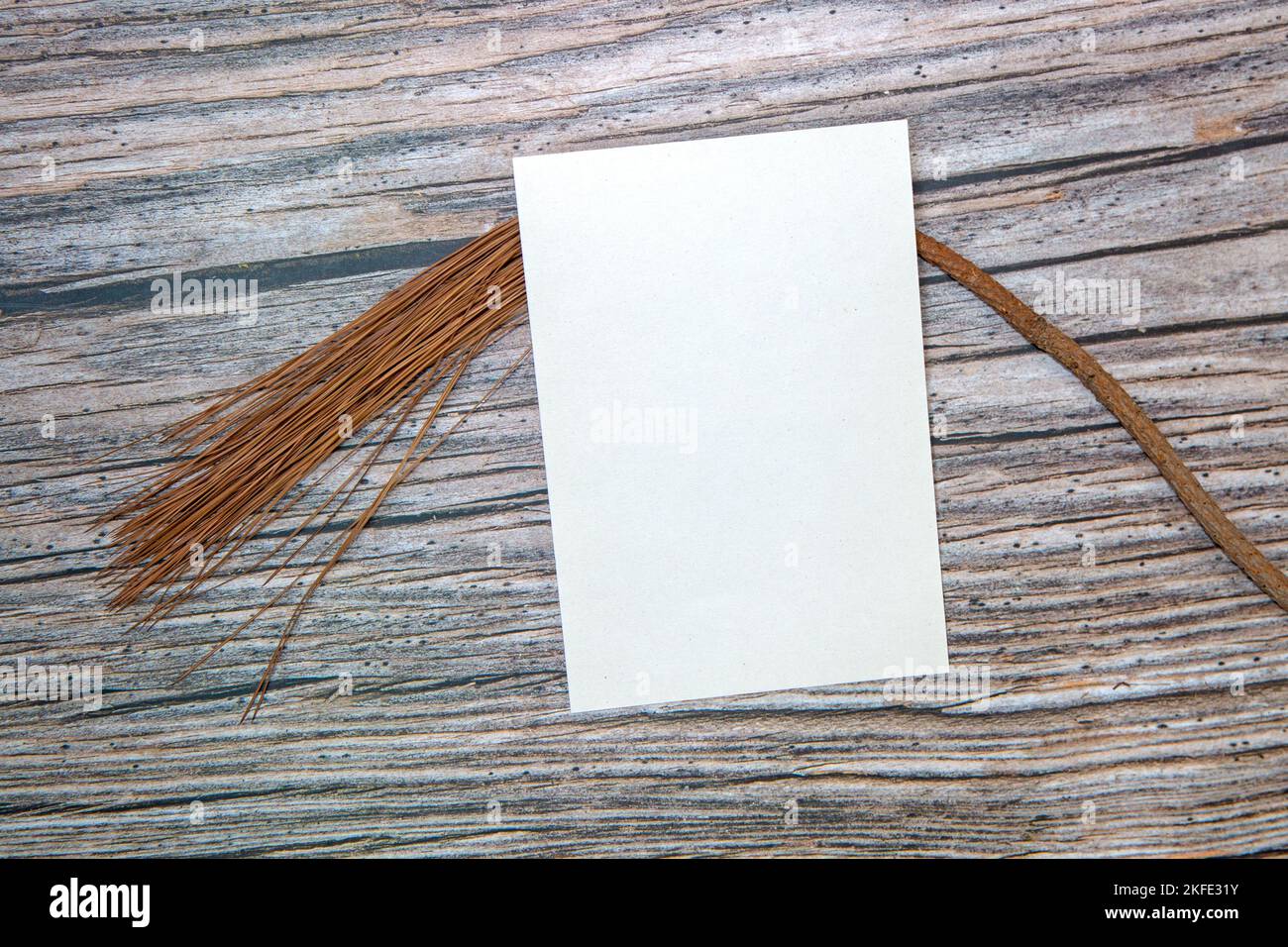 A top view of a blank sheet of paper with copy space and dried plants ...