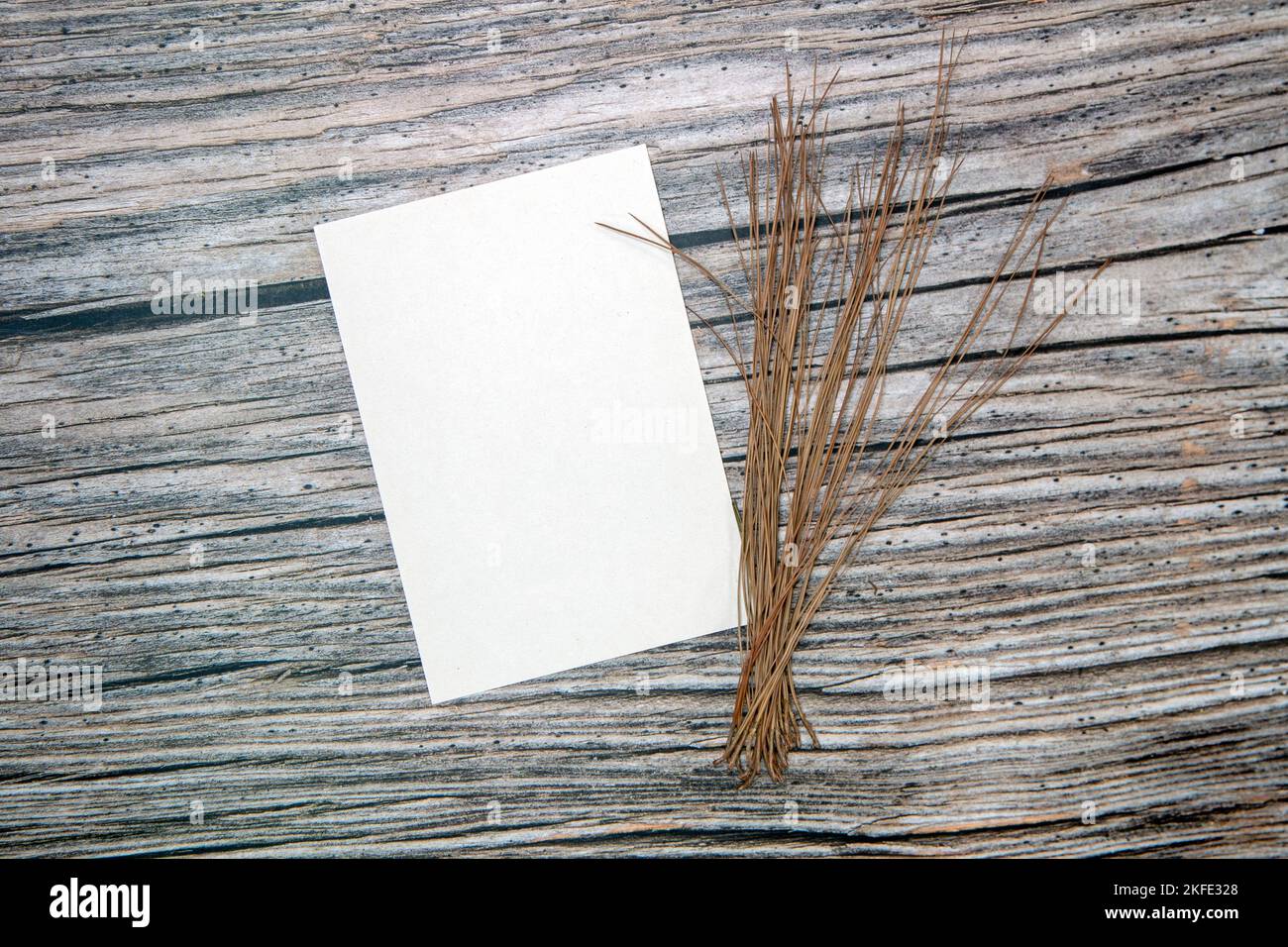 A top view of a blank sheet of paper with copy space and dried plants ...