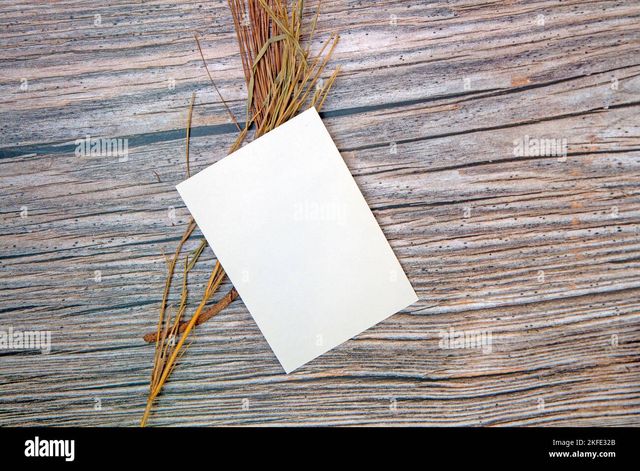 A top view of a blank sheet of paper with copy space and dried plants ...