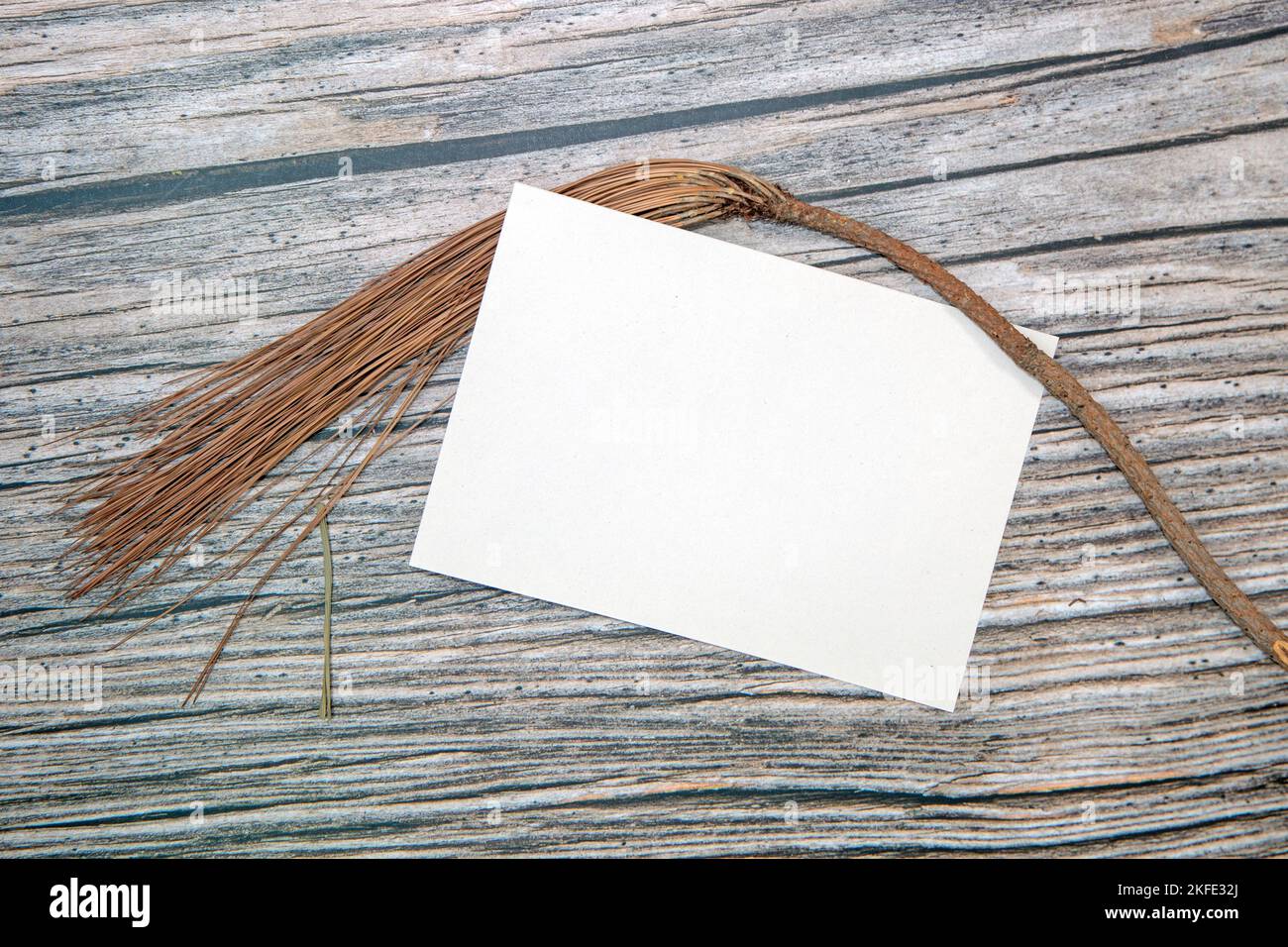 A top view of a blank sheet of paper with copy space and dried plants ...