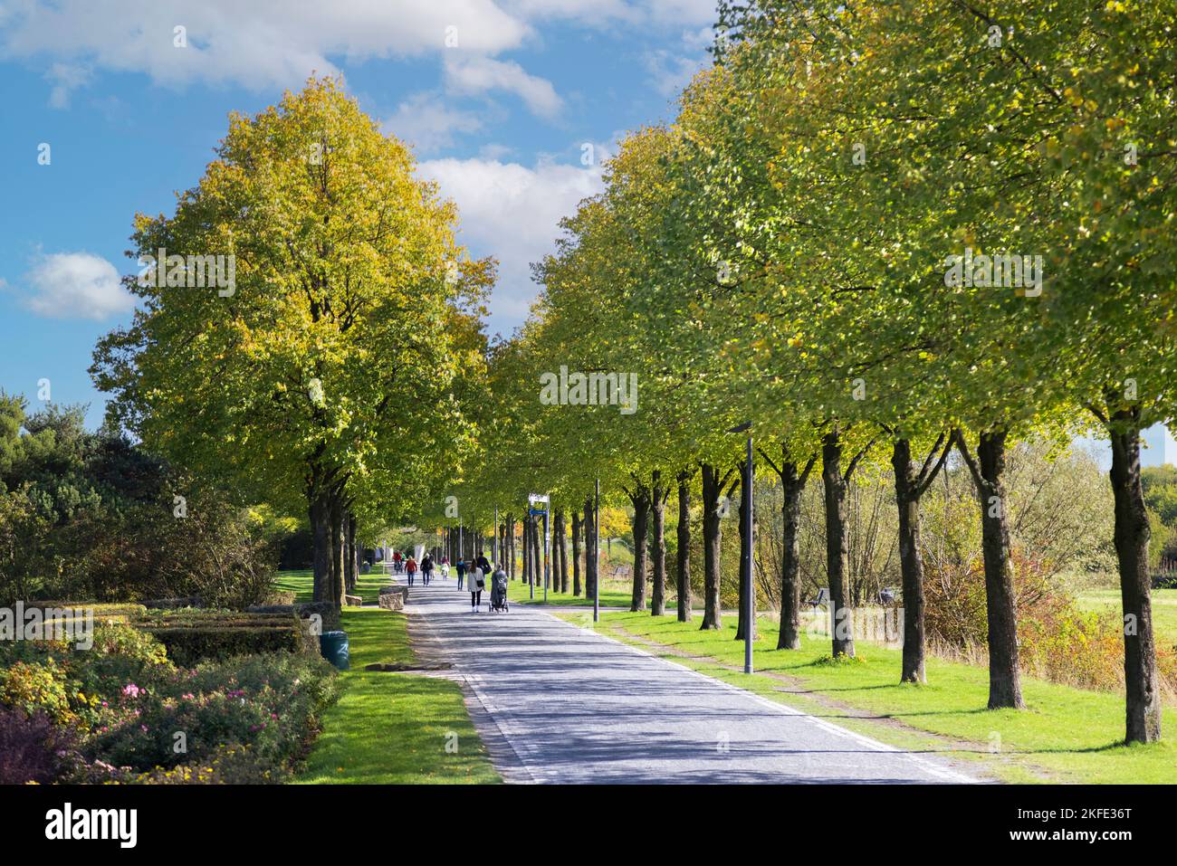 People walk along the path in autumn in a Nordsternpark with green ...