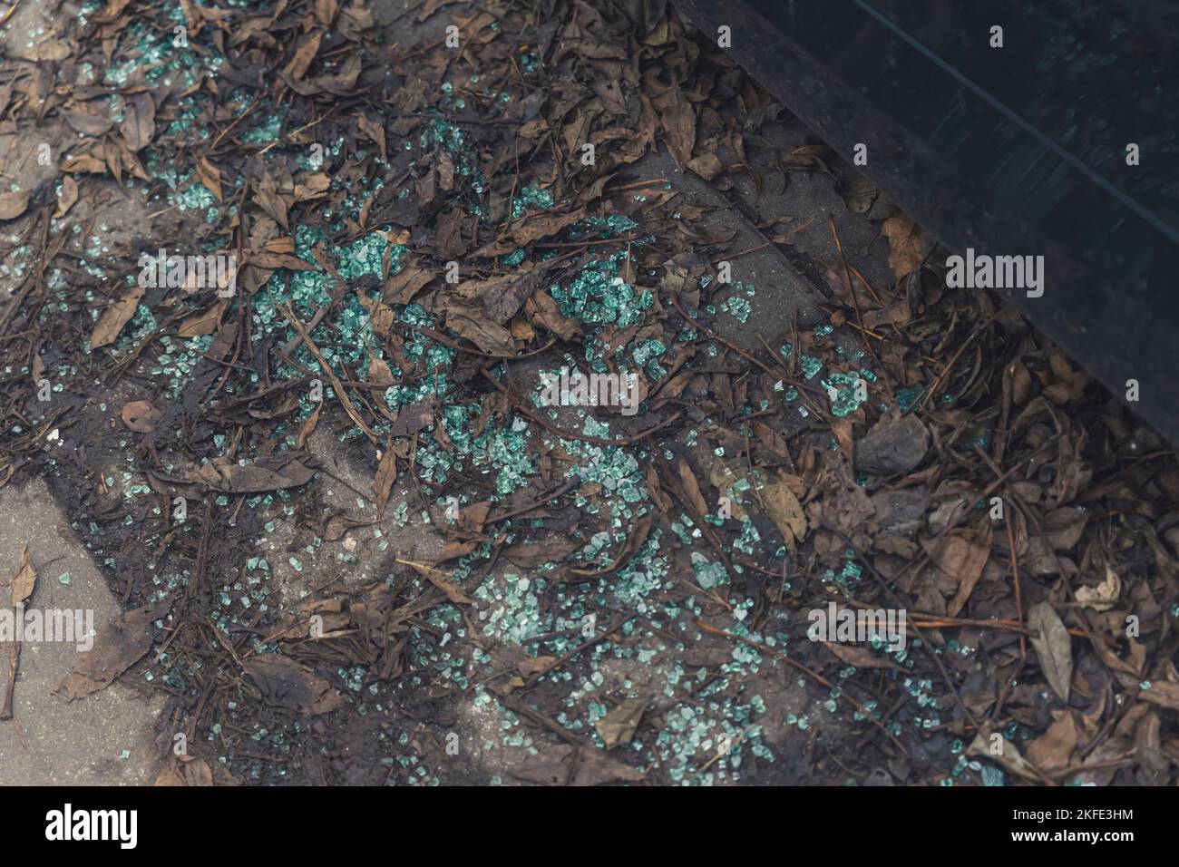 Turquoise blue car window glass shattered to pieces lying down of dirty ...