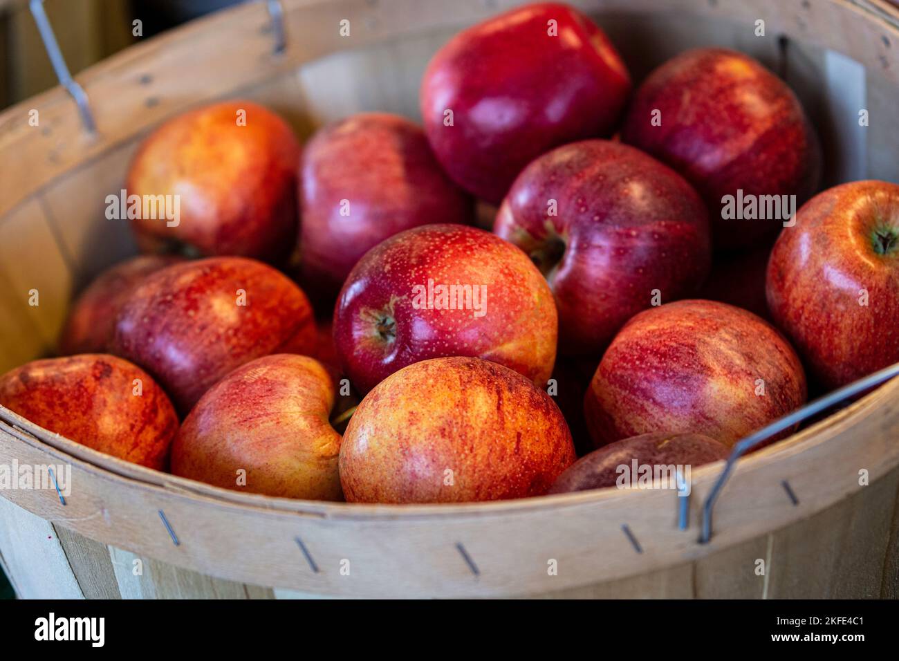 Gala apples in a basket on display at a farmers market Stock Photo - Alamy