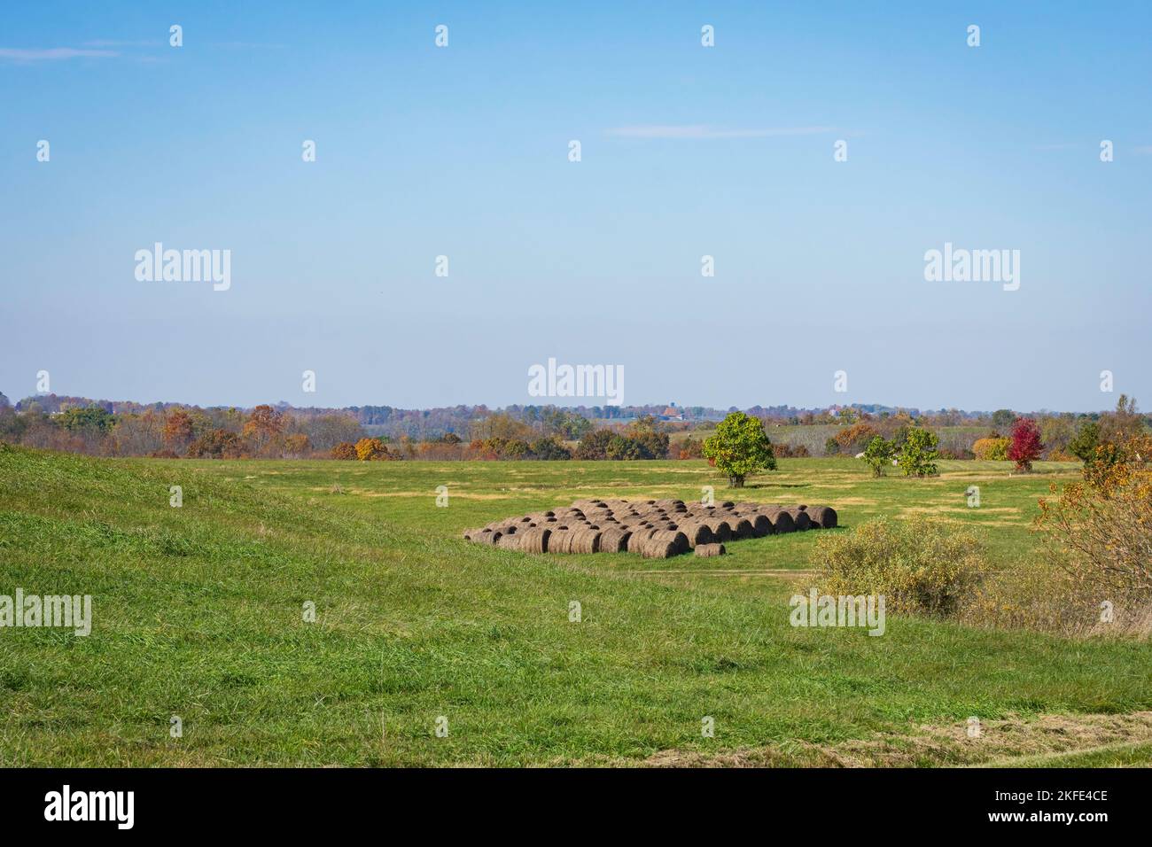 Landscape of round hay bales stored in an open field in rural eastern ...
