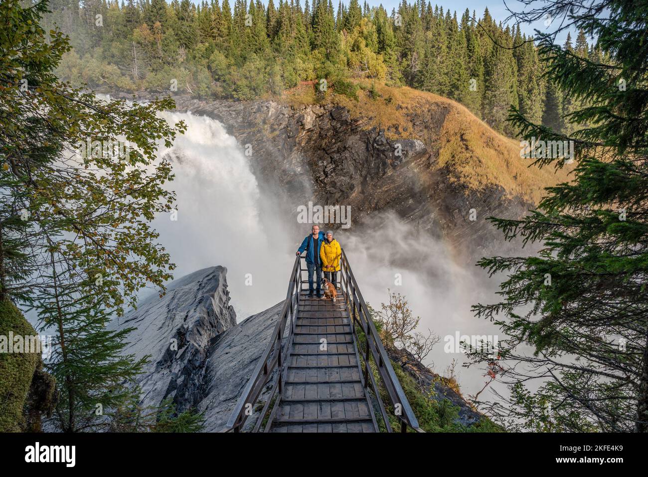 Couple standing on viewpoint bridge at Famous waterfall Tannforsen ...