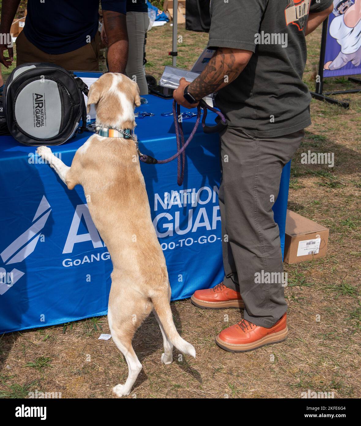 102 intelligence wing hi-res stock photography and images - Alamy