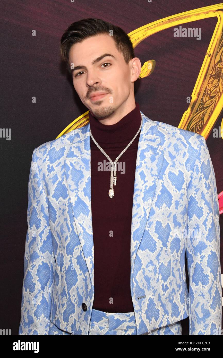 New York, USA. 17th Nov, 2022. Joe Moeller attends the '& Juliet ...