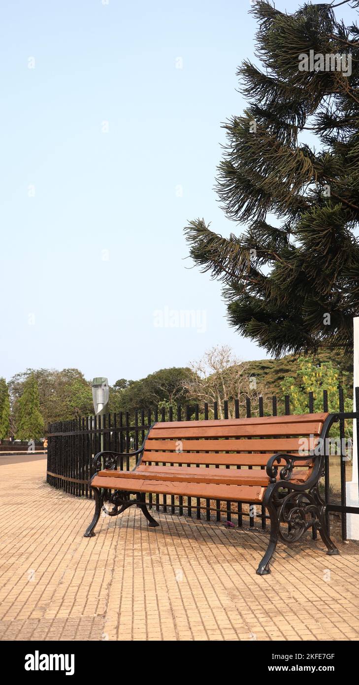 Empty bench tree park bench hi-res stock photography and images - Alamy