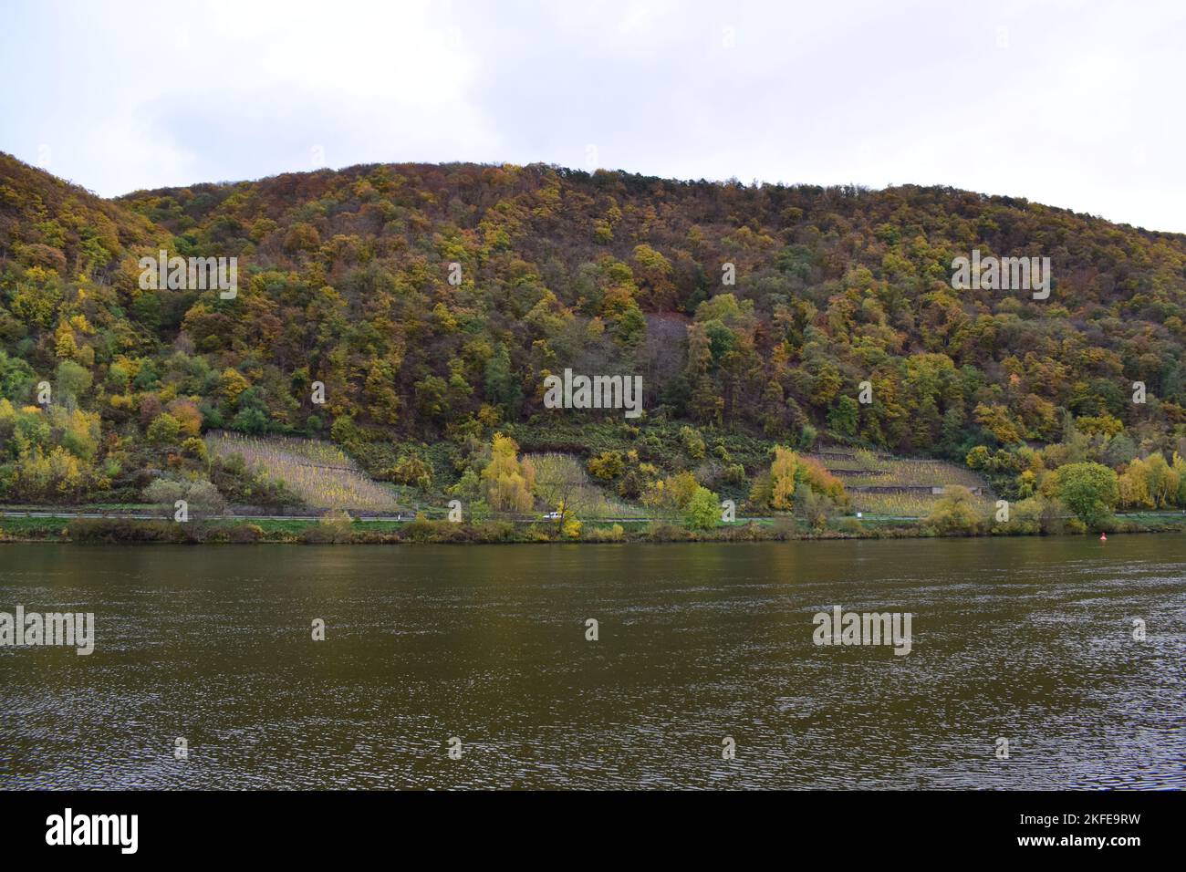 Gloomy mosel valley hi-res stock photography and images - Alamy