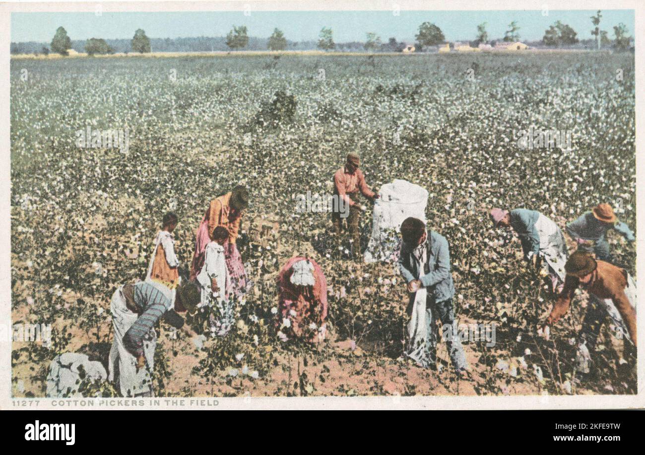 Cotton picker slave girl hi-res stock photography and images - Alamy