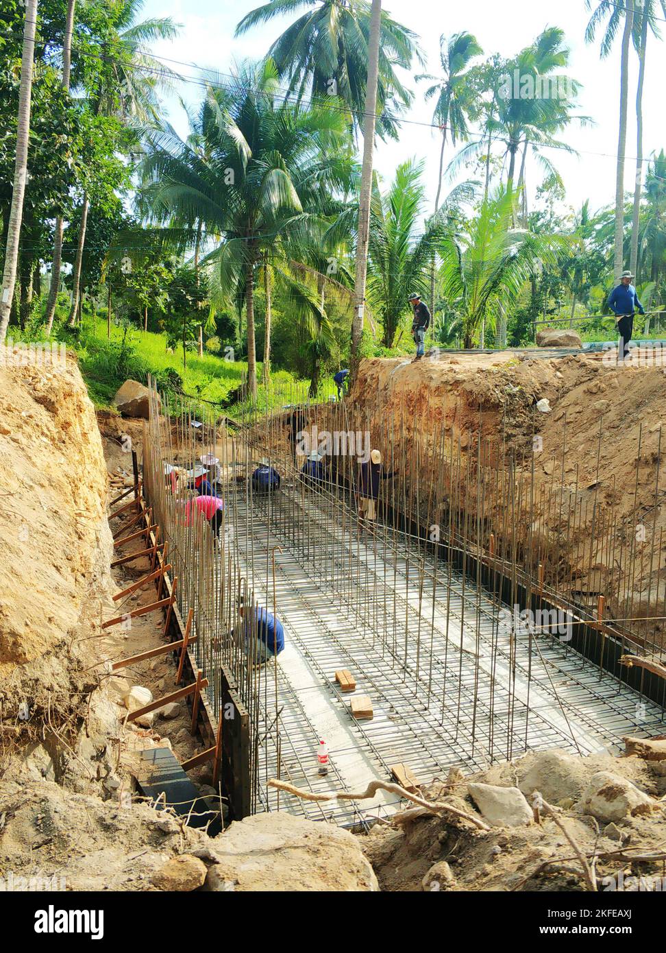 Construction in the jungle forest. Workers are pouring concrete into ...
