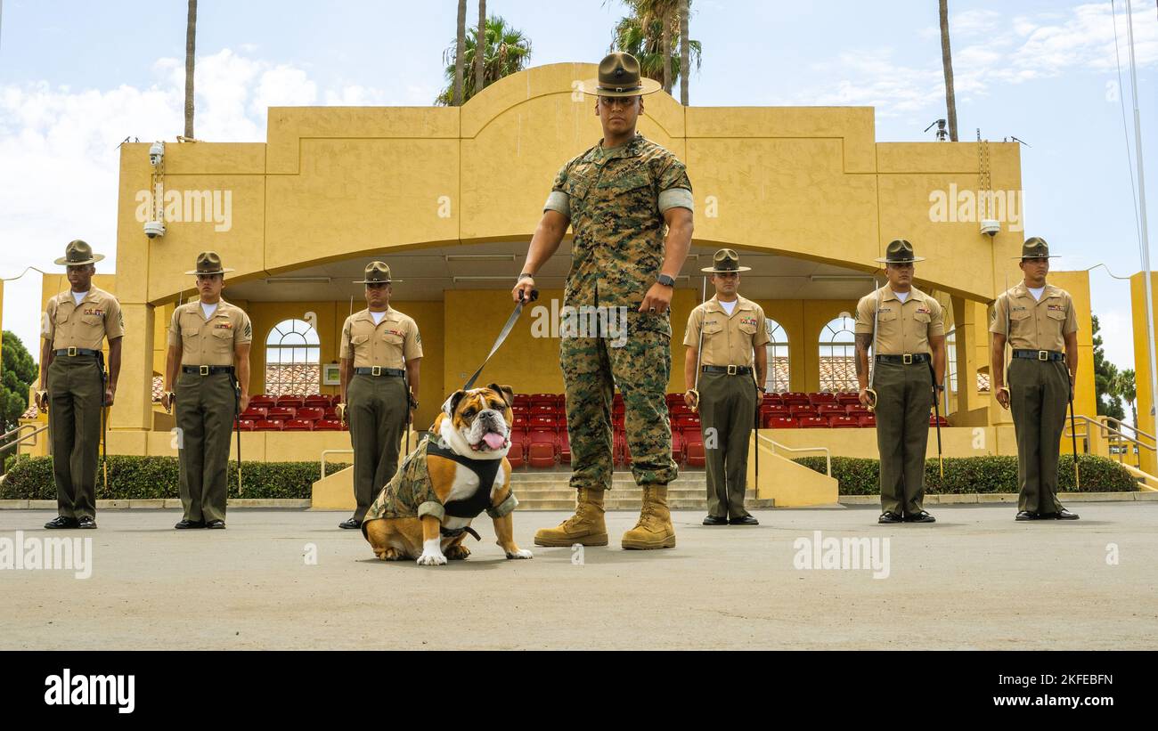 U.S Marine Corps Cpl. Manny, the mascot of Marine Corps Recruit Depot ...