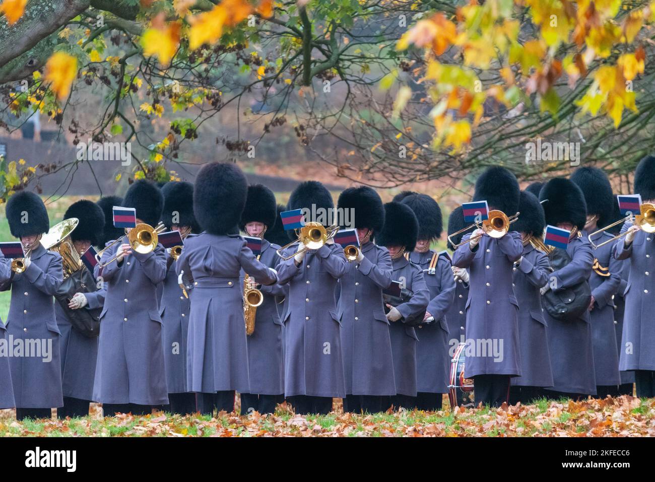 Band of the Coldstream Guards playing after gun salute by Kings Troop ...