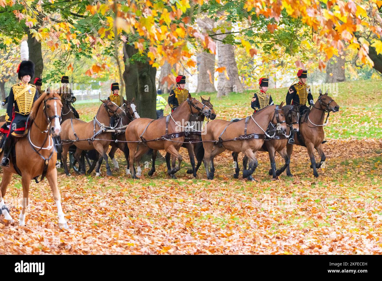 Kings Troop, Royal Horse Artillery riding in to carry out a 41 gun ...