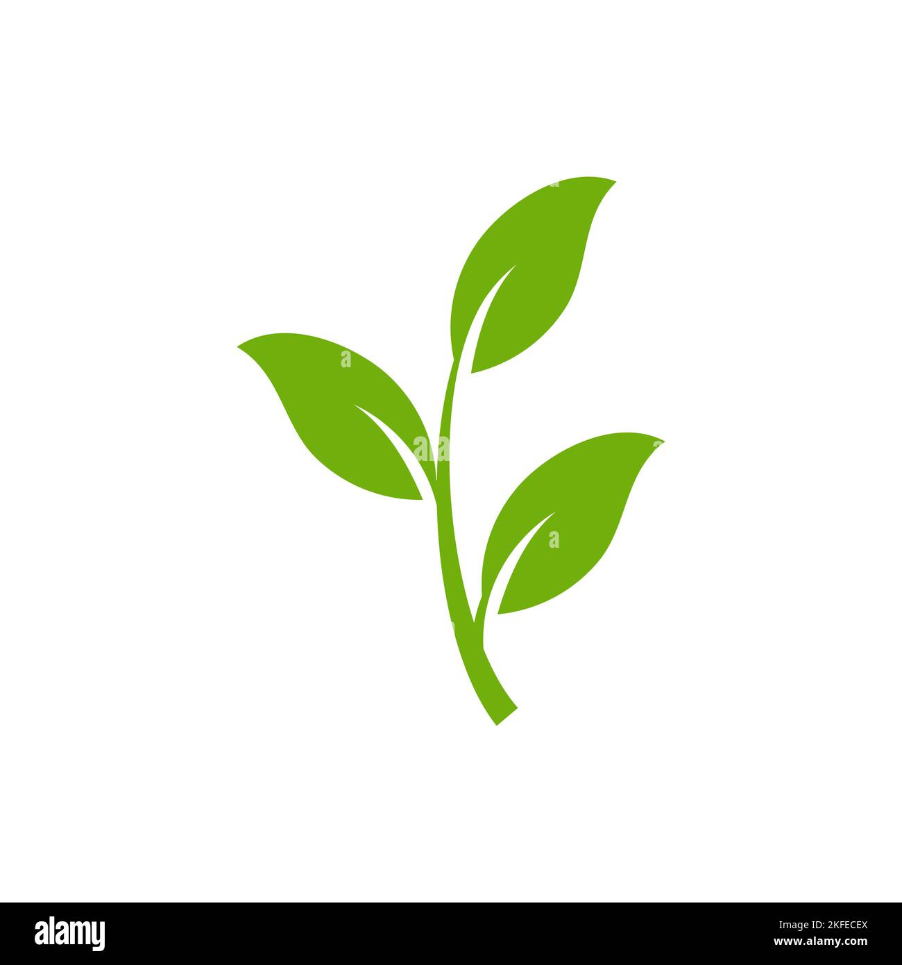 Green leaves icons set. Eco symbol of natural foliage Stock Vector ...