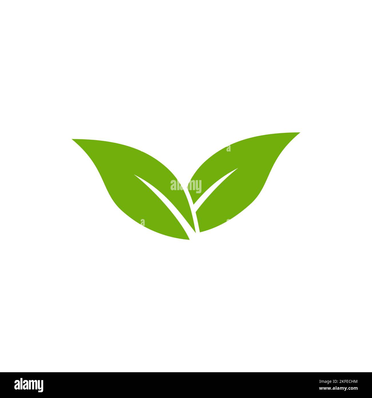 Green leaves icons set. Eco symbol of natural foliage Stock Vector ...