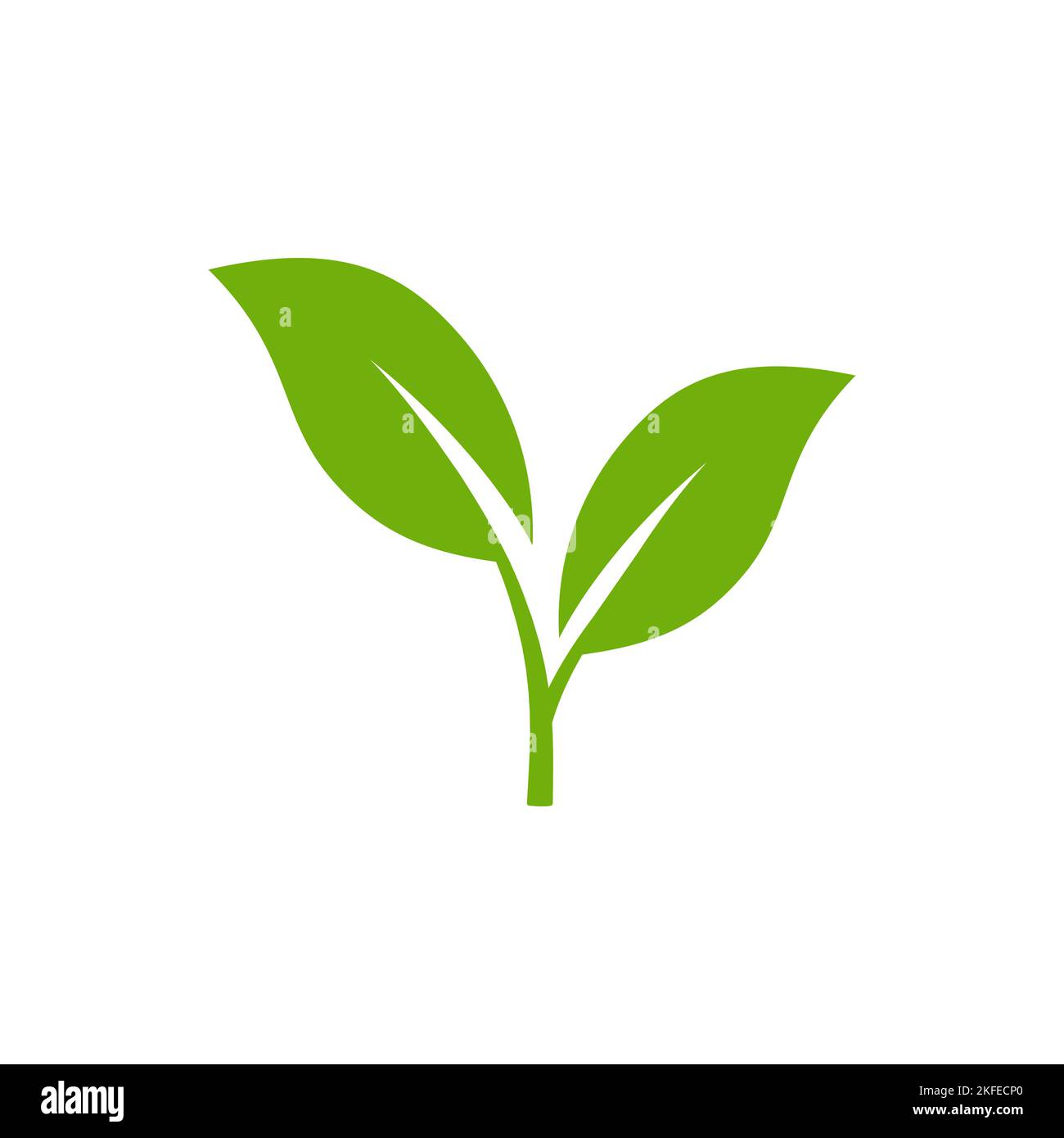 Green leaves icons set. Eco symbol of natural foliage Stock Vector ...