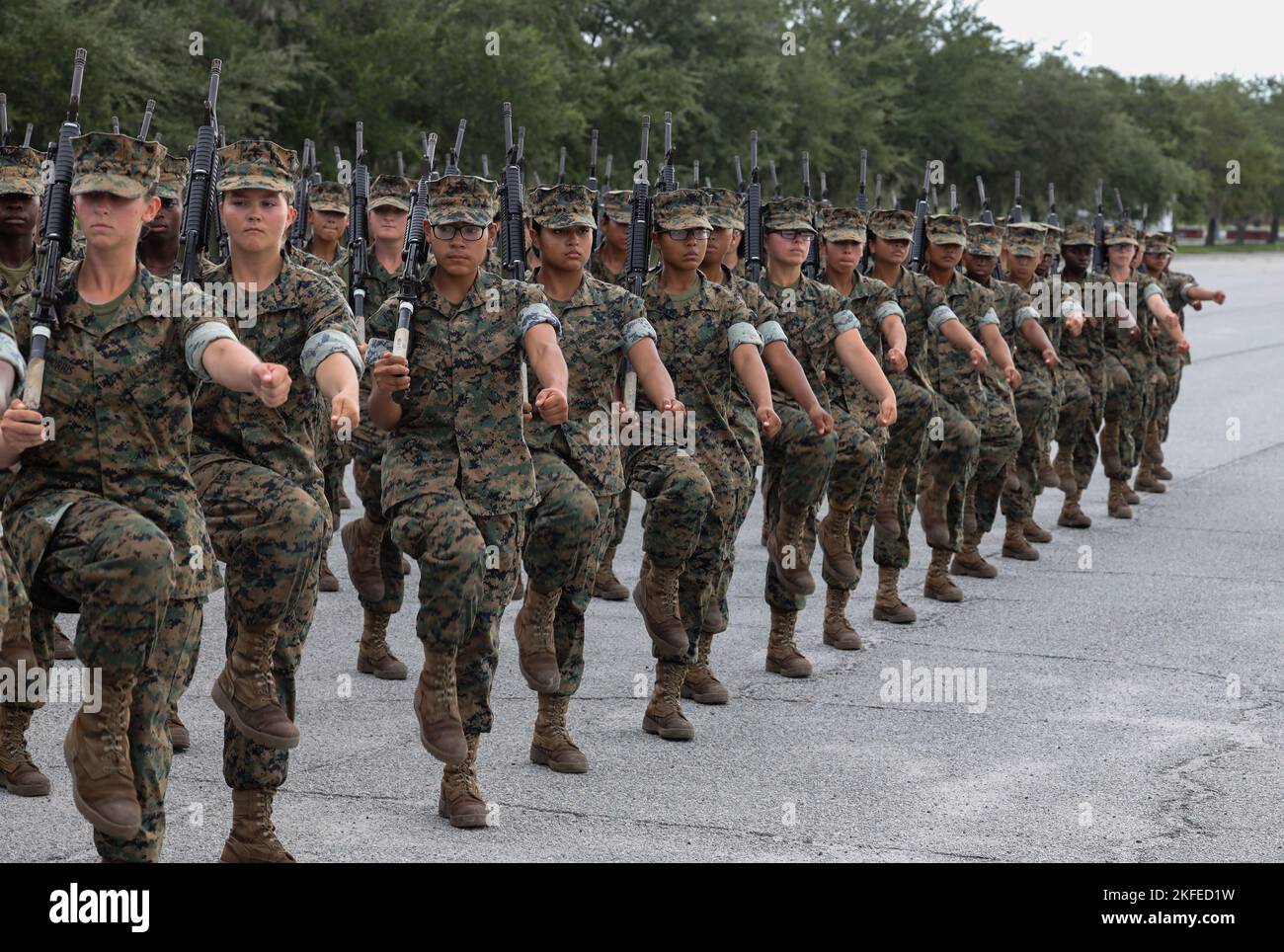 Recruits with Echo Company, 2nd Recruit Training Battalion execute ...