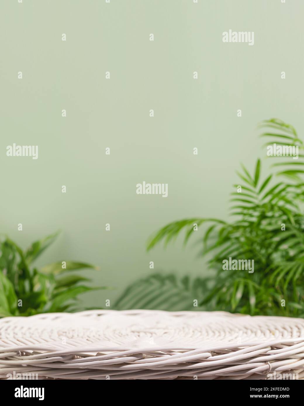 Natural product display for presentation. Empty podium on green ...