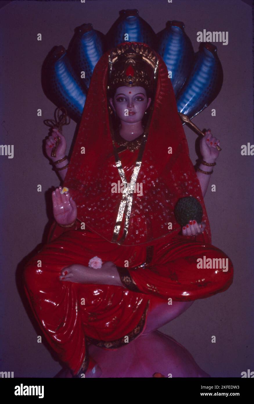 Goddess Padmavati, India Stock Photo - Alamy