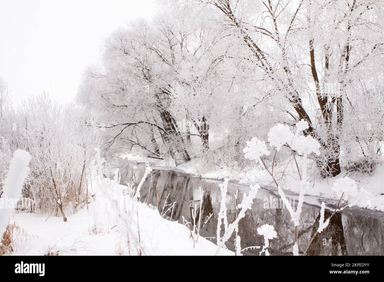 Snow-covered landscape of open spaces near the river. Snowy weather ...