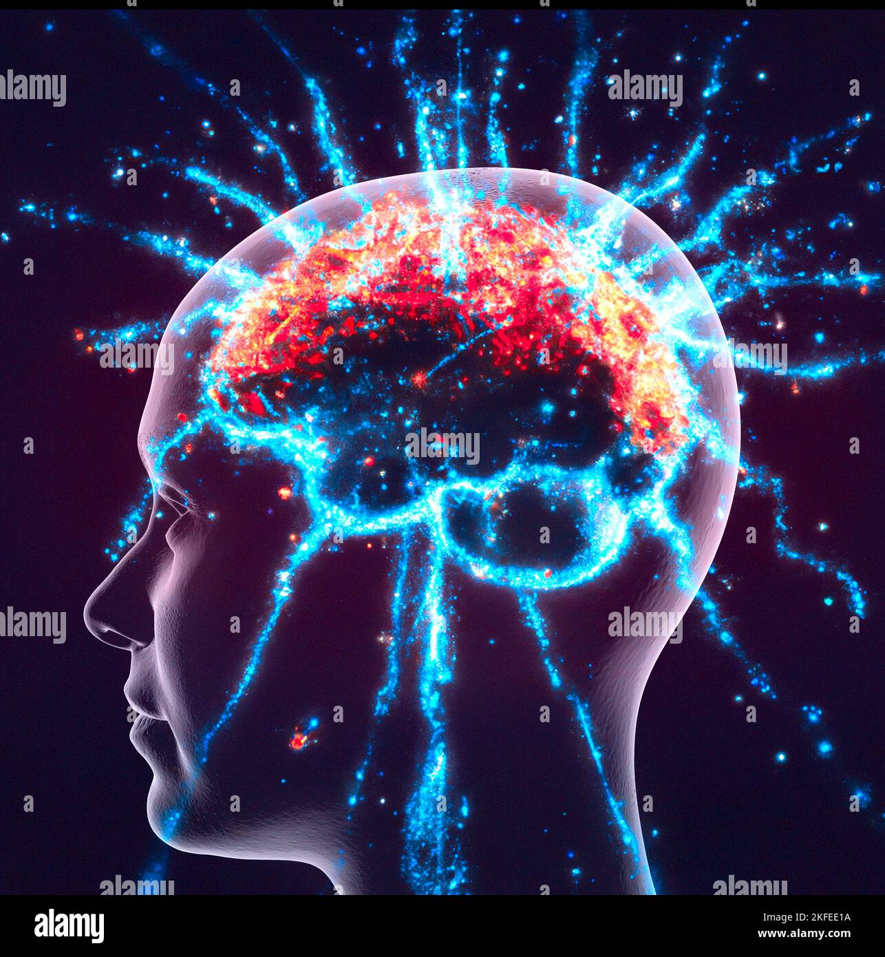 Human brain health hi-res stock photography and images - Alamy