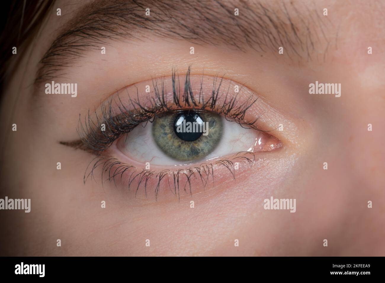 Close-up of an eye with iris and eyeball pupil of a young female girl ...
