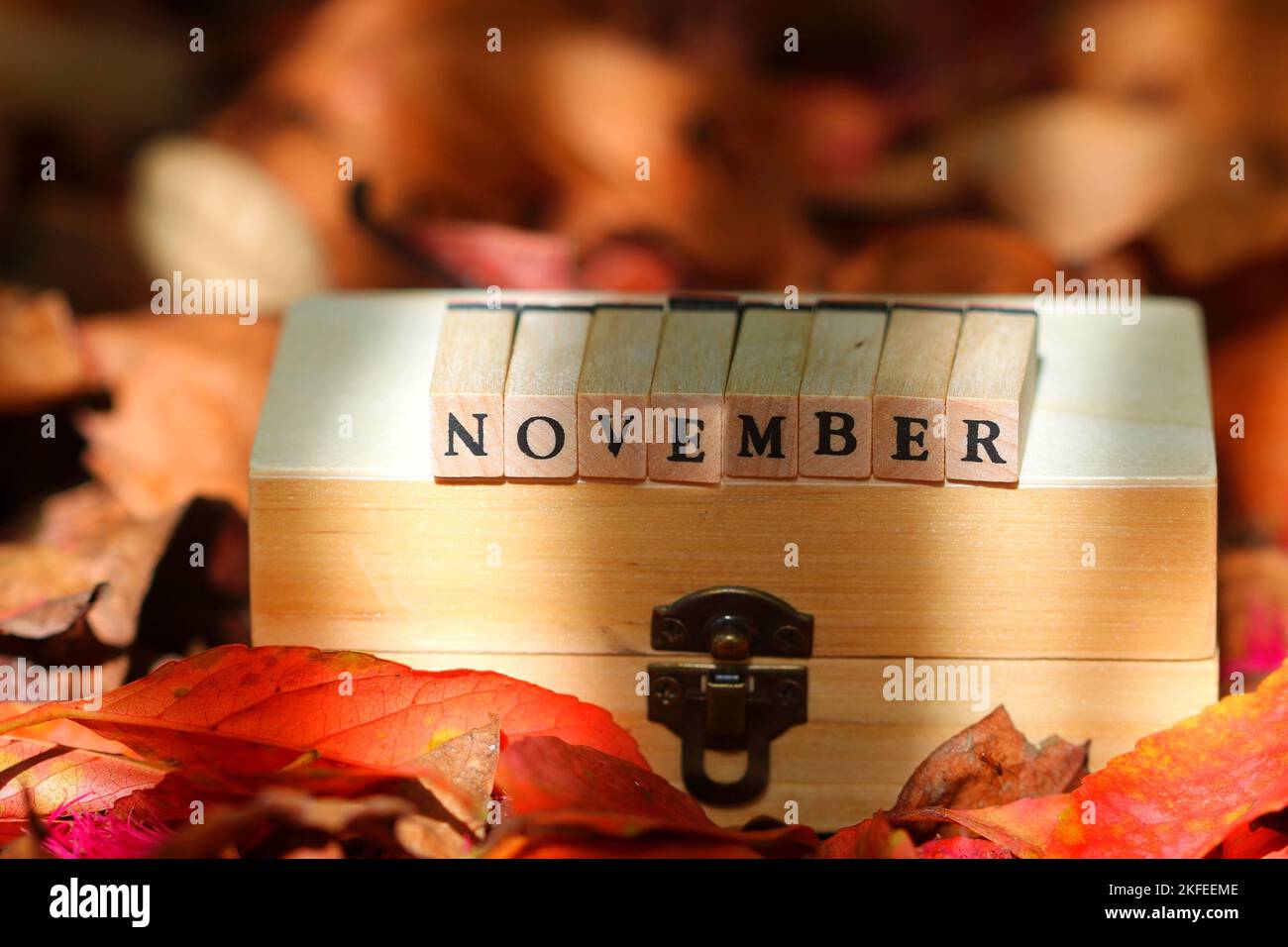 Letters for the word November made with wood on a red and orange color ...
