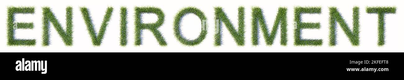 Concept conceptual green lawn grass forming the ENVIRONMENT text ...