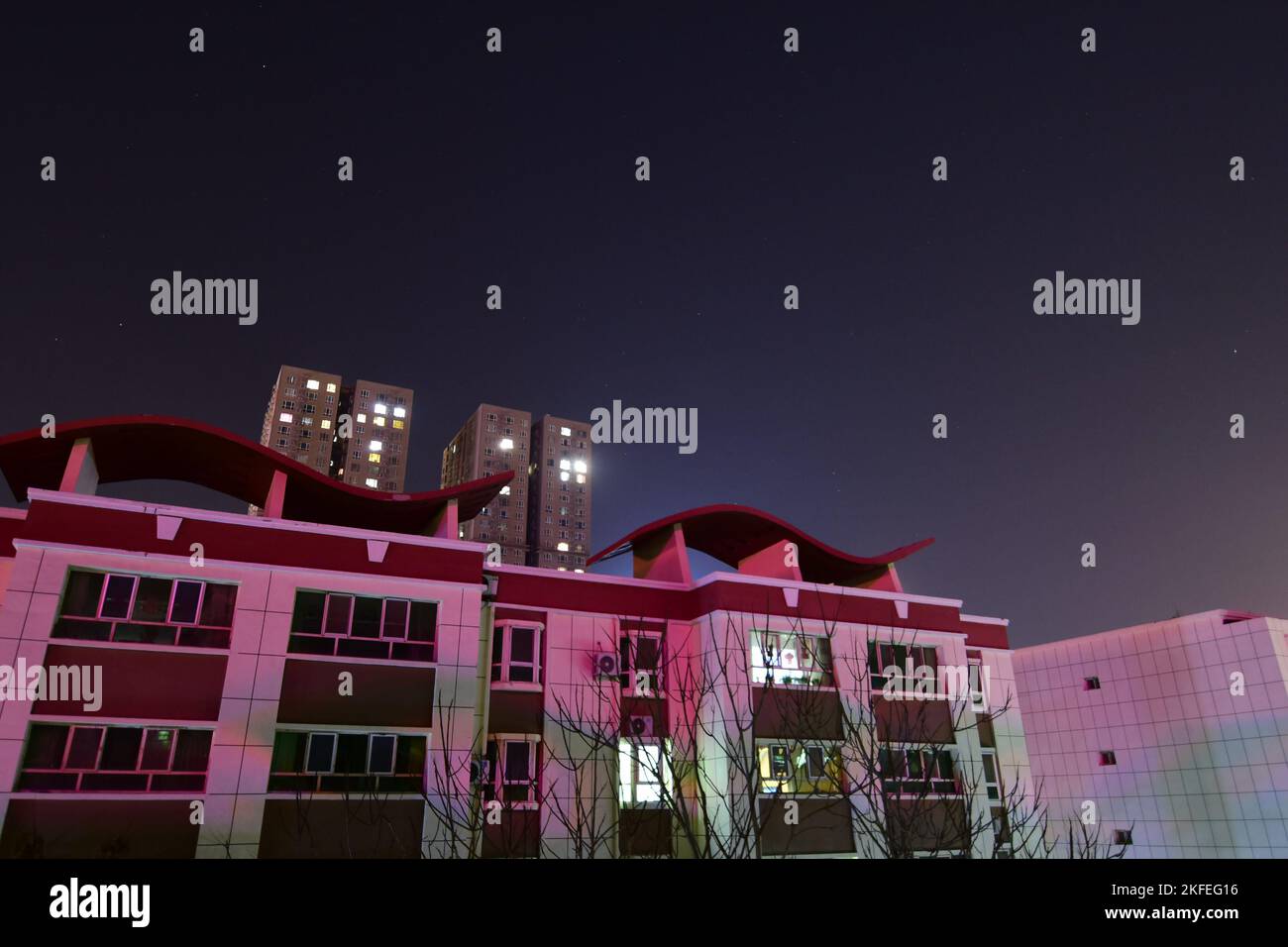 Leonids appears in Korla City, northwest China's Xinjiang Uygur ...