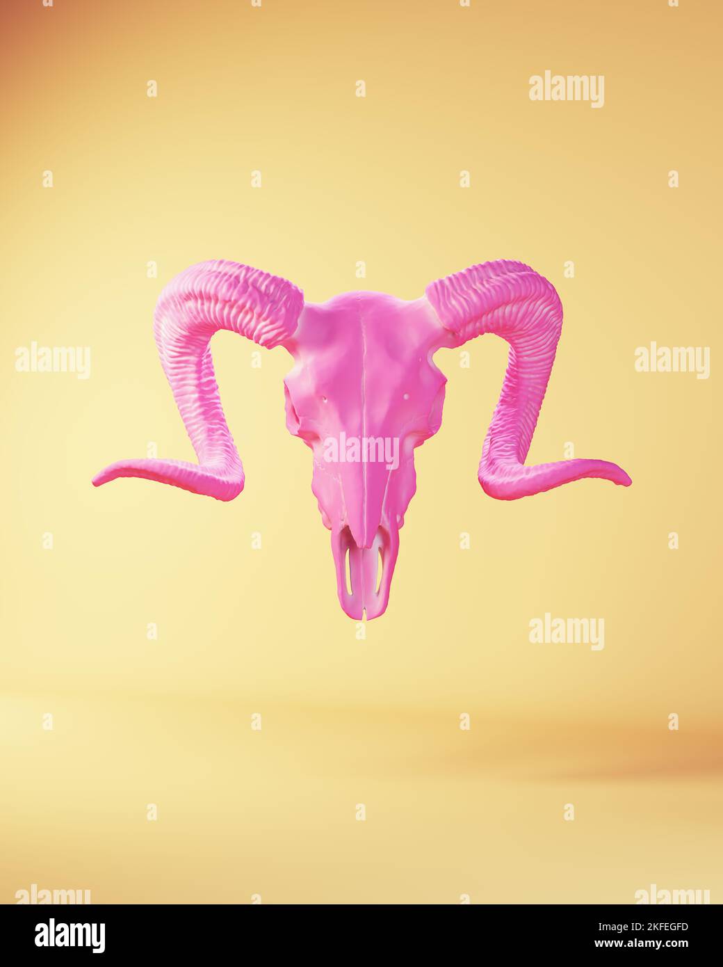 Satanic Rams Head Female Reproductive