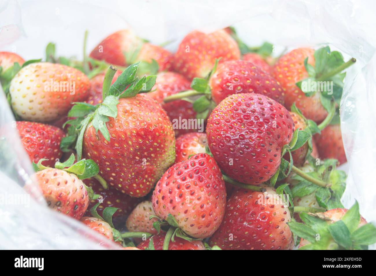 Strawberry (English: strawberry) is a genus of flowers in the rose ...