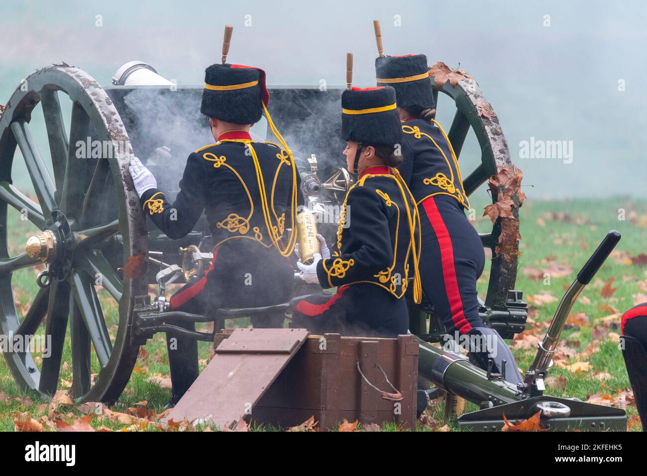 Kings Troop, Royal Horse Artillery carried out a 41 gun salute for the ...