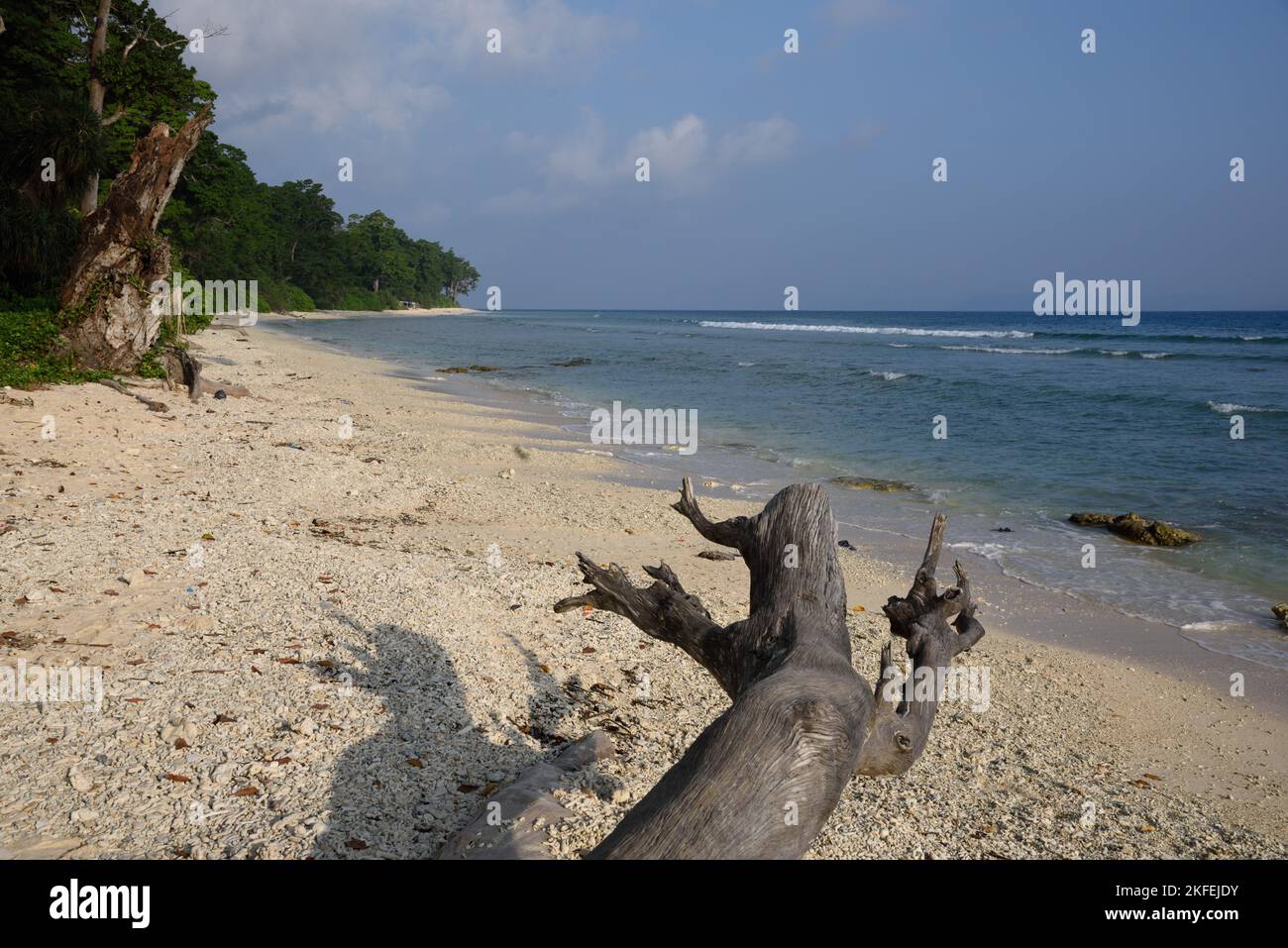 Driftwood, Laxmanpur Beach, Neil Island, Shaheed Dweep, Andaman and ...